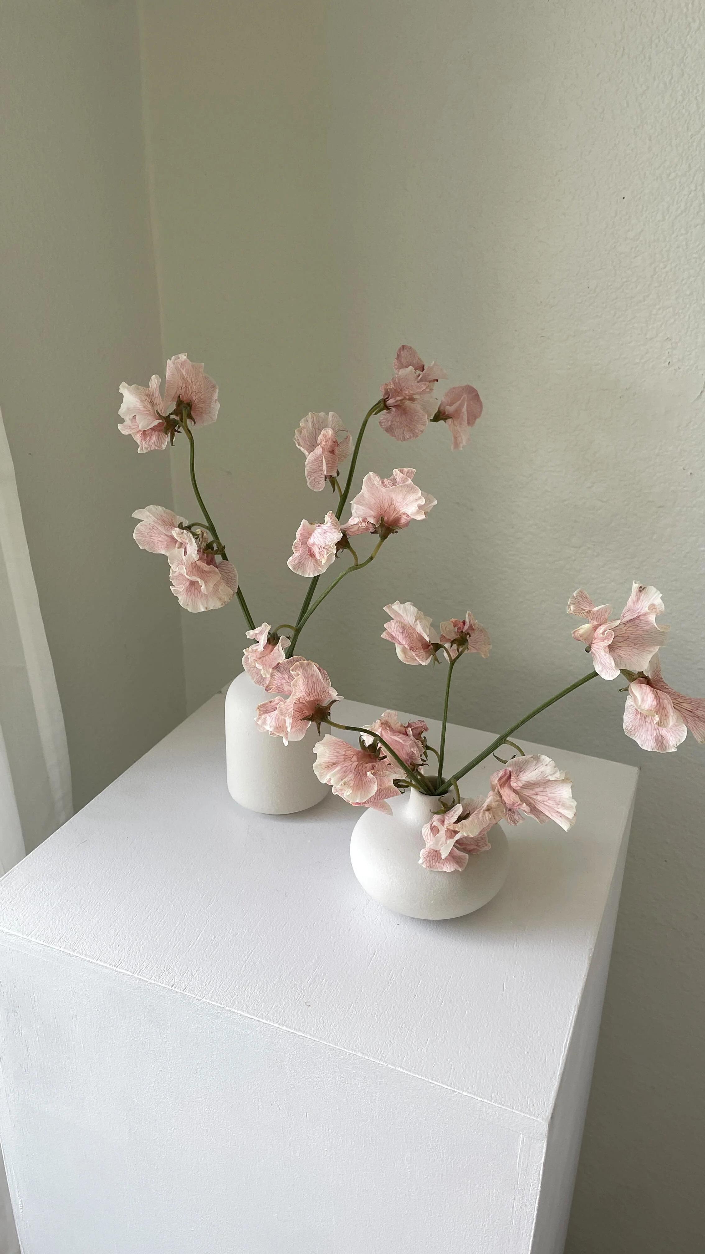 PORTFOLIO — MERCI FLORAL