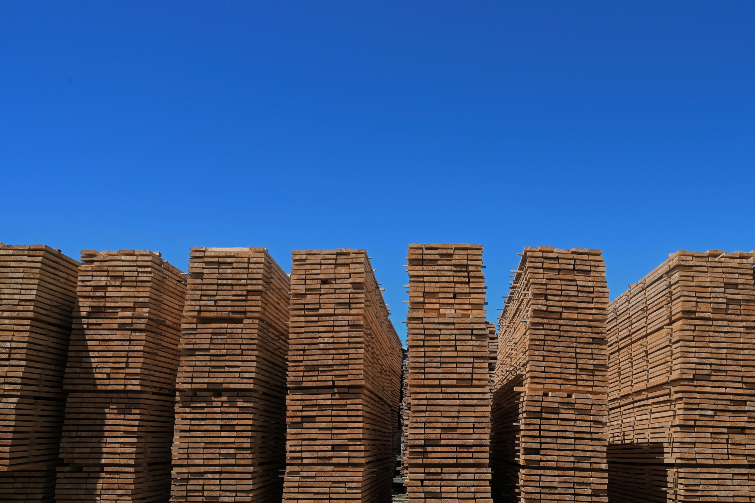 About Us — NZ Timber