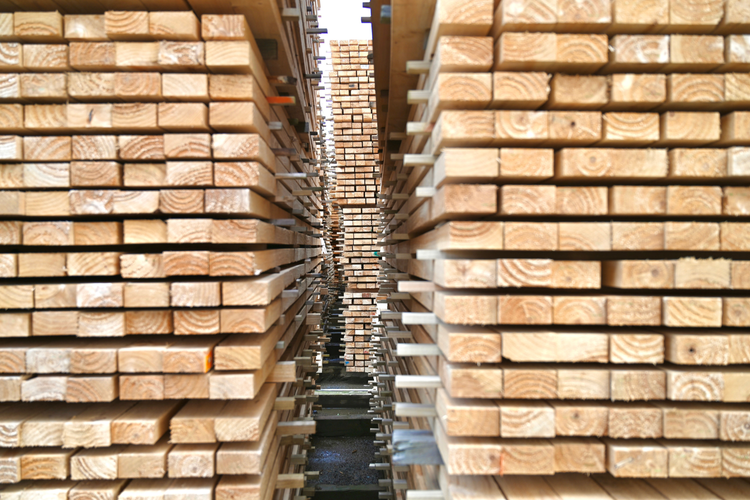 About Us — NZ Timber