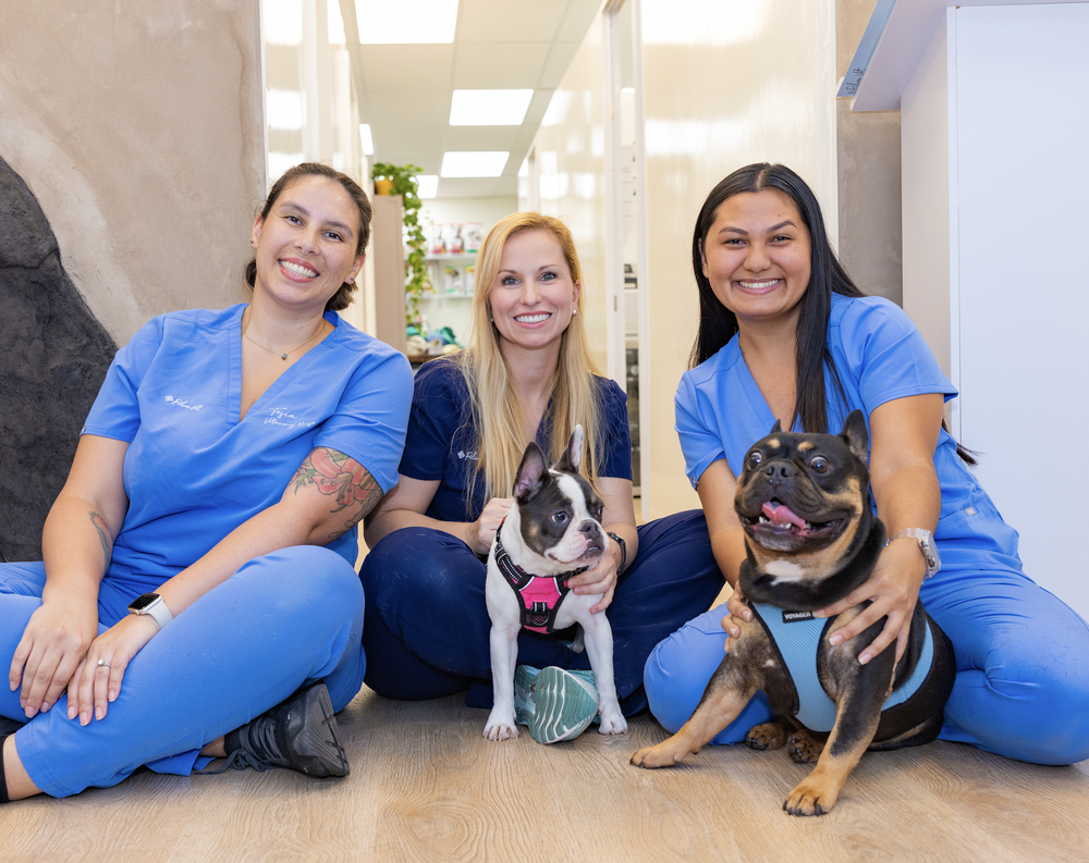 Team 1 — Pilina Vet