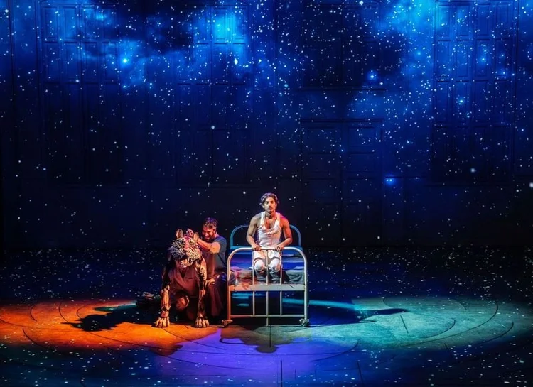 Life of Pi, UK Tour Review — Theatre and Tonic