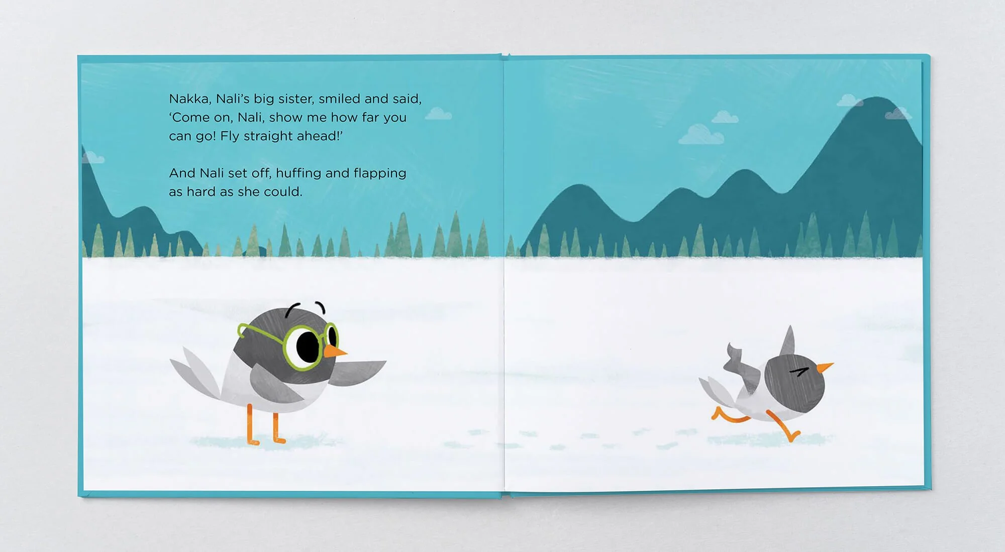 Nali & Friends Picture Book — Tali Gal-on