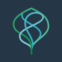 Centering Therapy MN