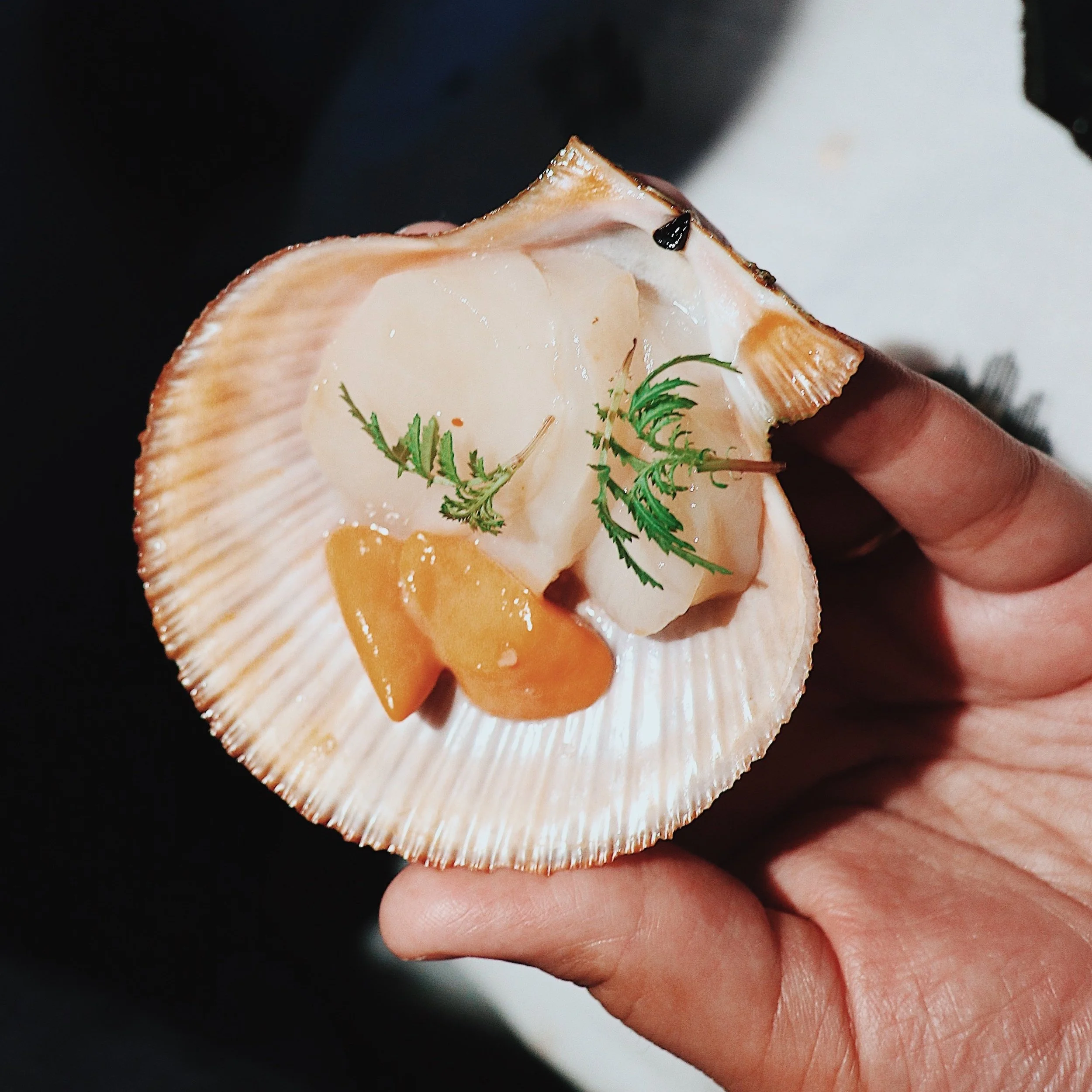 The Newlands Quarter