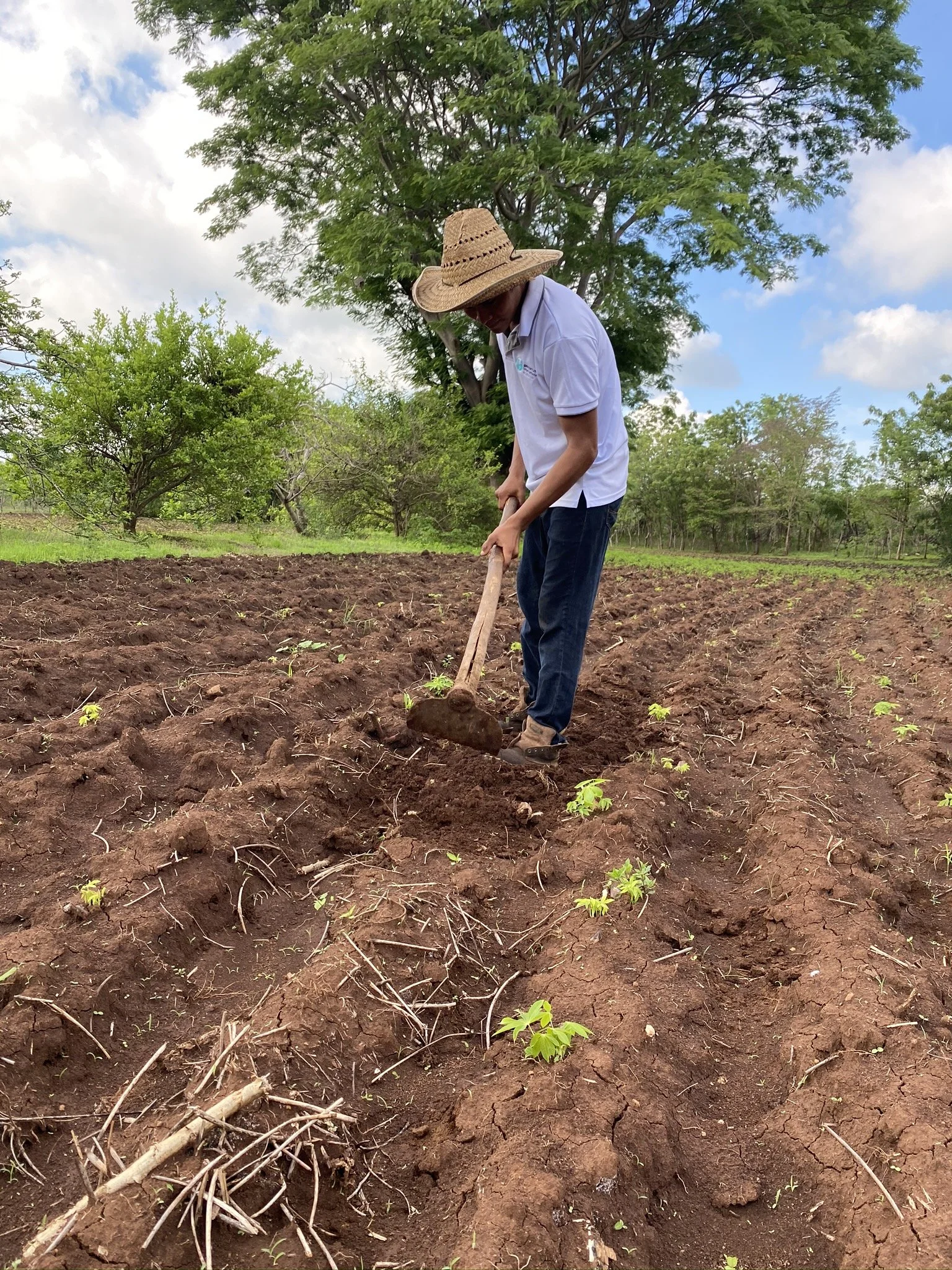 General 2 — Prospera Foods