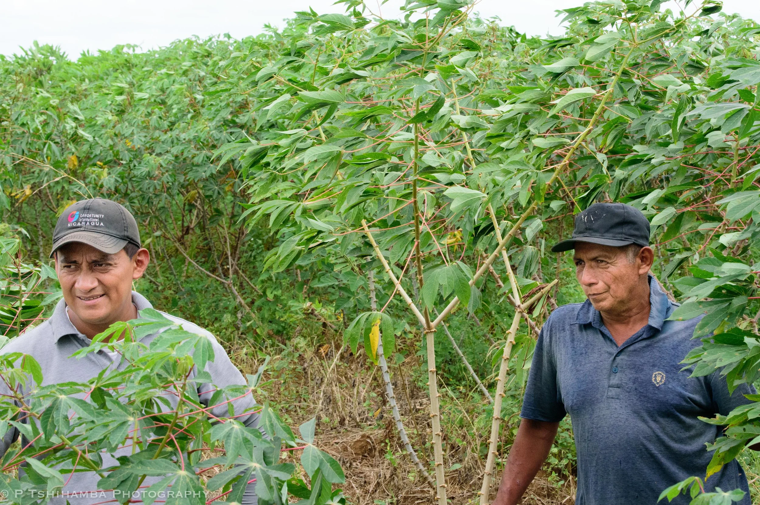 General 2 — Prospera Foods