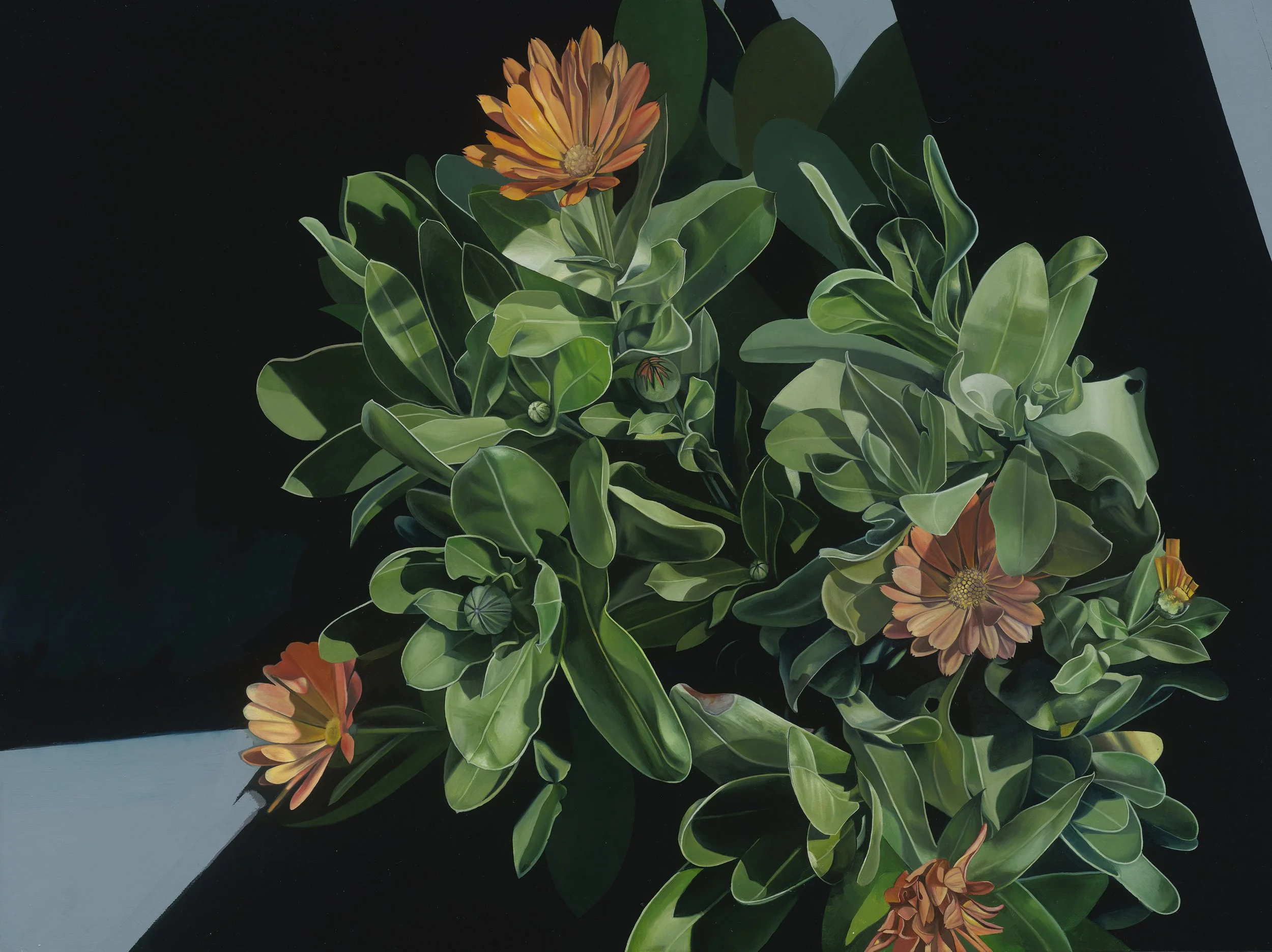 LANDSCAPES — David Booth Art david booth artist | prints