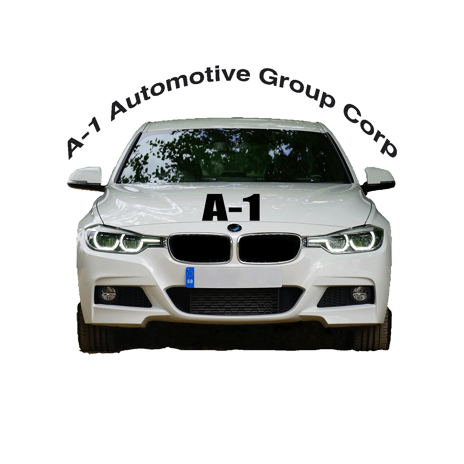 A-1 Automotive Group Corp