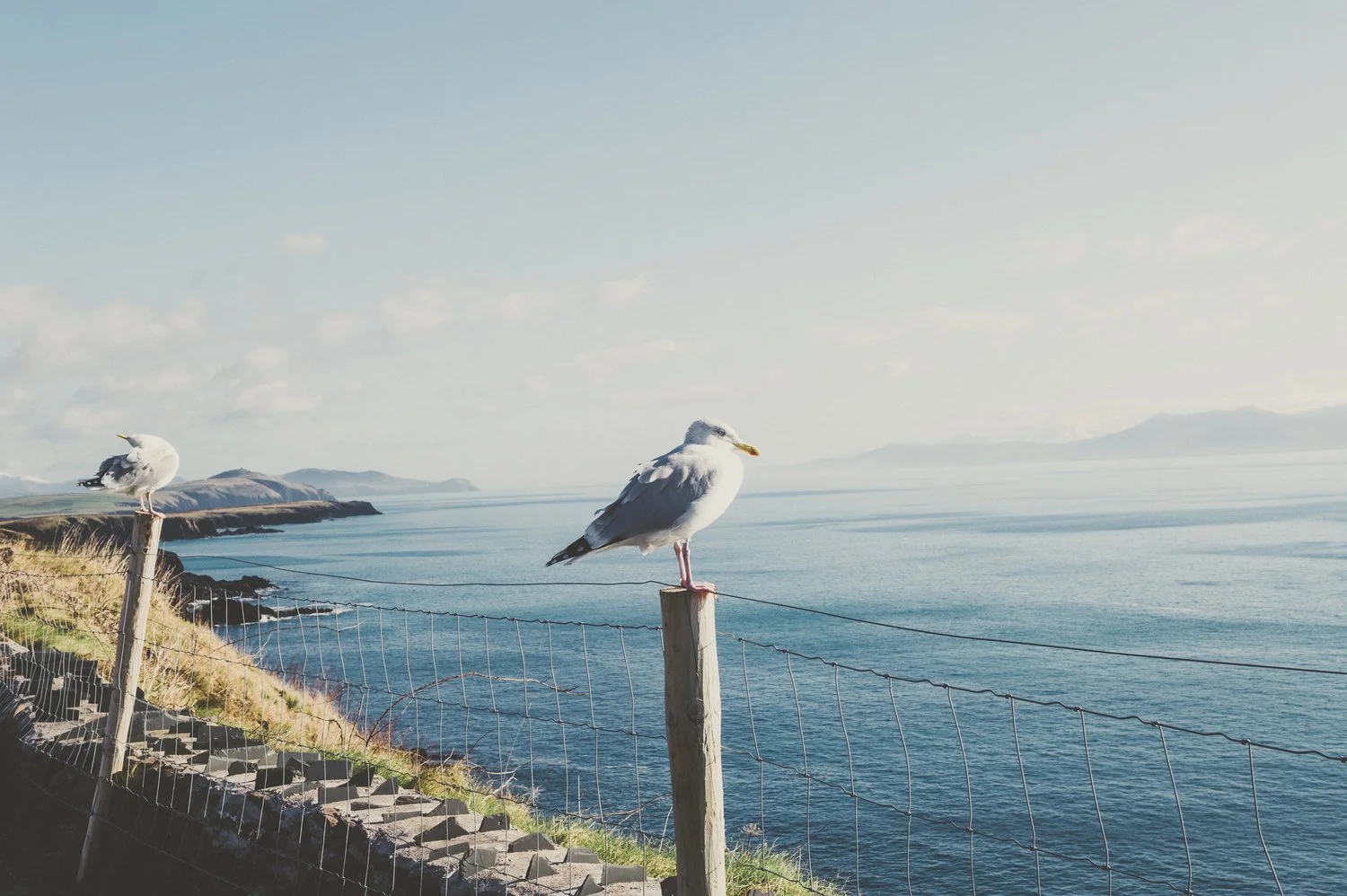 Please Visit Dingle — Tara Shupe Photography