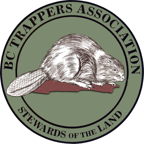 Home (Copy) — BC Trappers Association