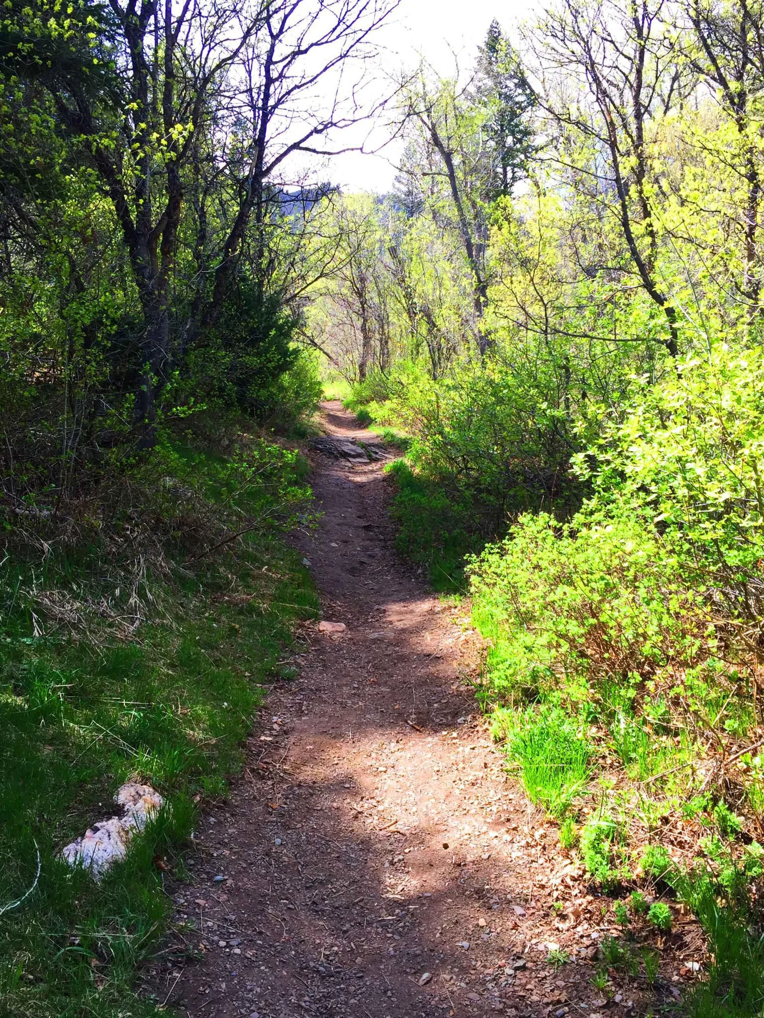 Weber County Parks & Recreation — TFNU