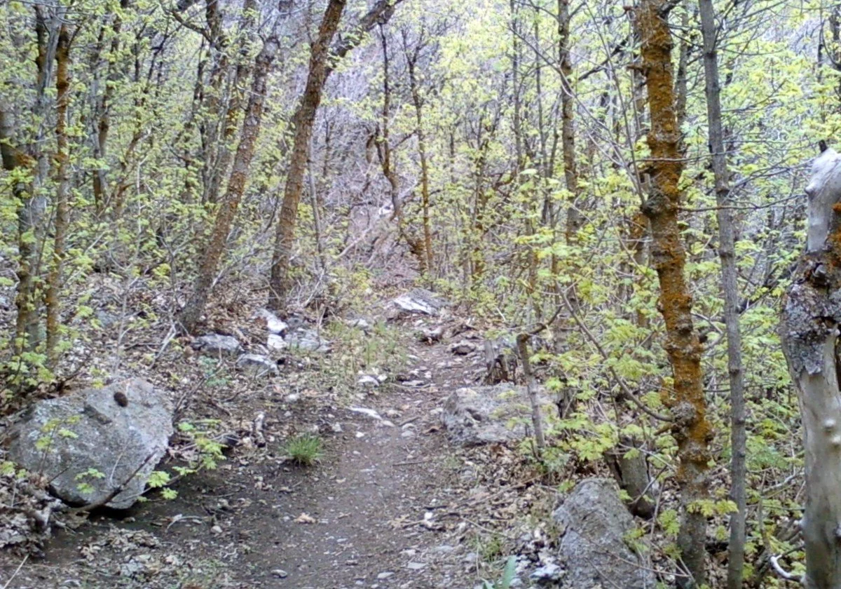 Hidden Valley Trail — TFNU