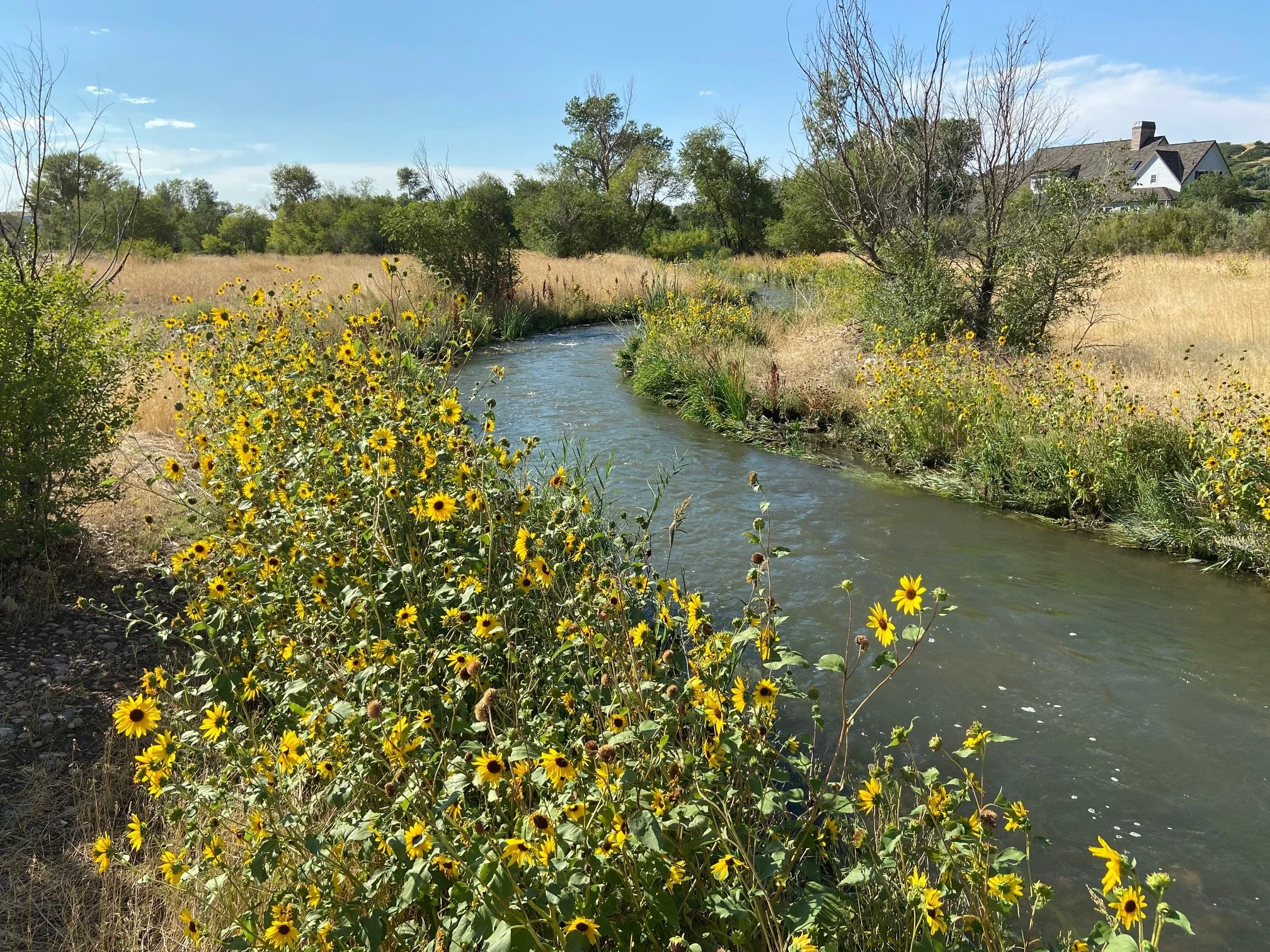 Weber River Pathway — TFNU