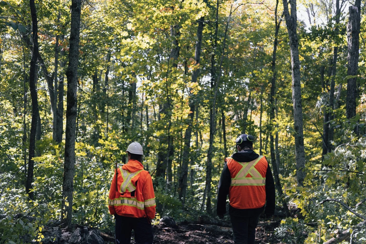 The Haliburton Forest Group