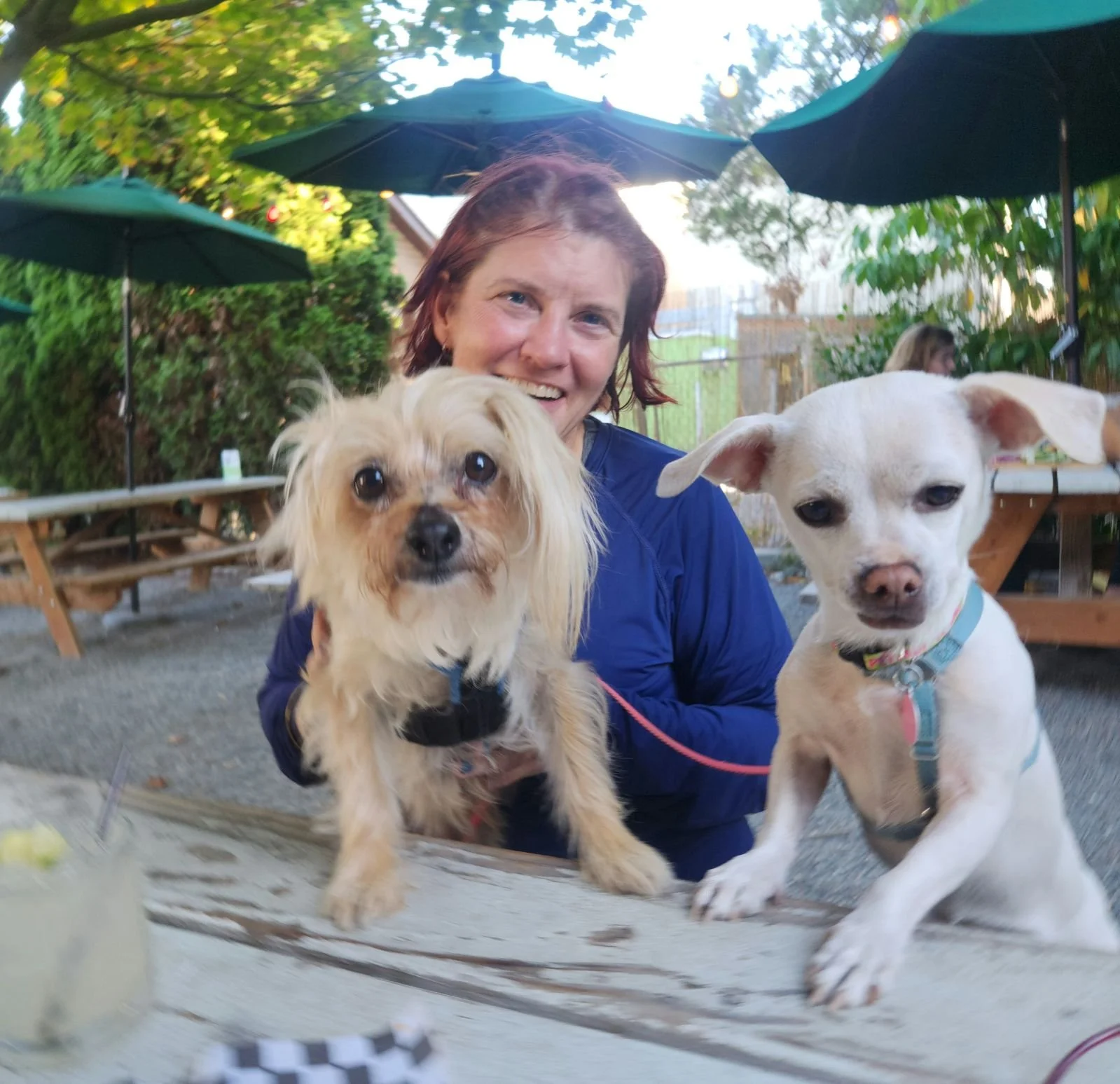 About Seattle Dogs Seattle Trainer Julie Sharp and her dog training ...
