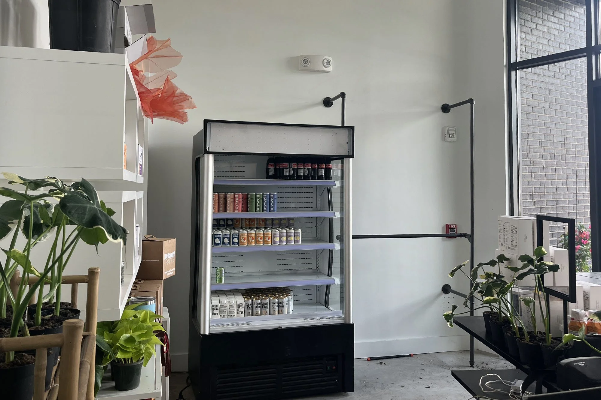 Custom Murals by P Muir Art Elevate Your Space — P Muir Art - Iconic ...