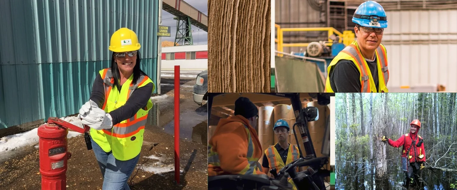 Canadian Kraft Paper, Ltd. — Canadian Kraft Paper, Ltd.