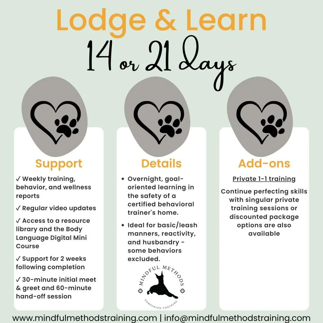 Mindful Methods Companion Coaching