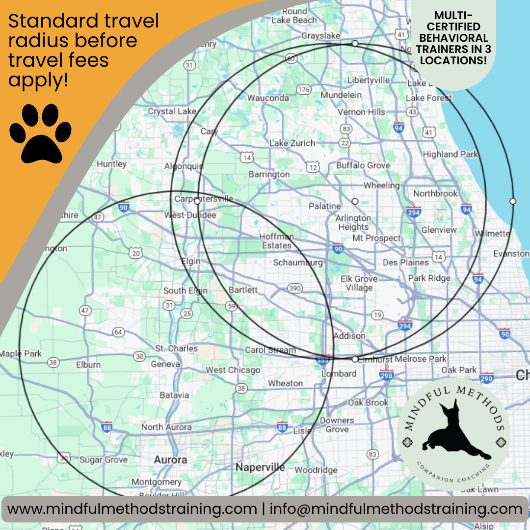 Mindful Methods Companion Coaching