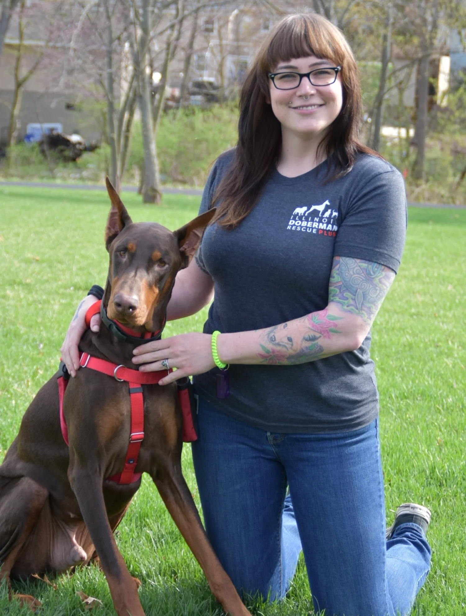 Positive Reinforcement Dog Trainers — Mindful Methods Companion Coaching