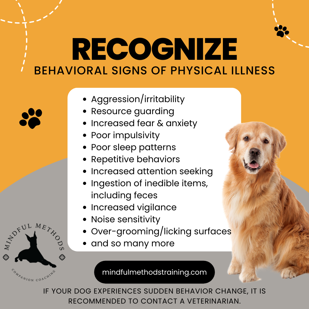 Behavior & Physical Health in Dogs — Mindful Methods Companion Coaching