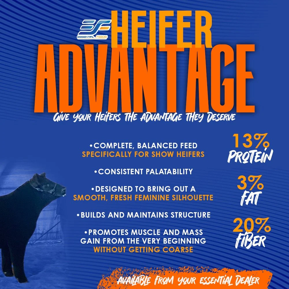 Essential Show Feeds: Heifer Advantage — Essential Feeds