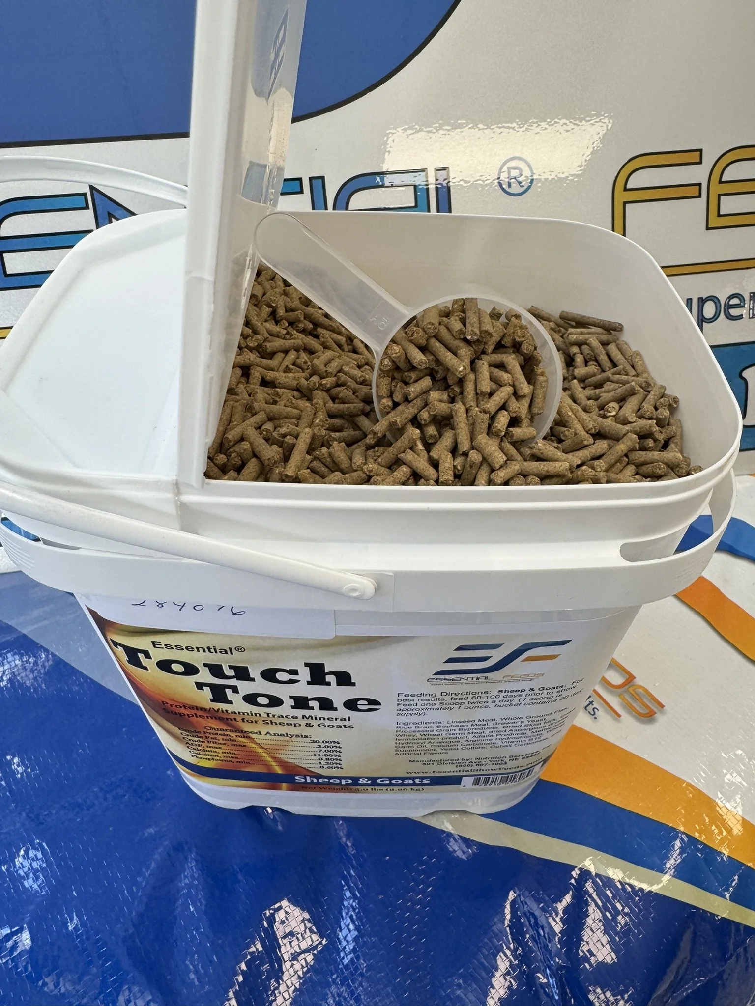 Cattle Products | Enhance Show Cattle Performance — Essential Feeds