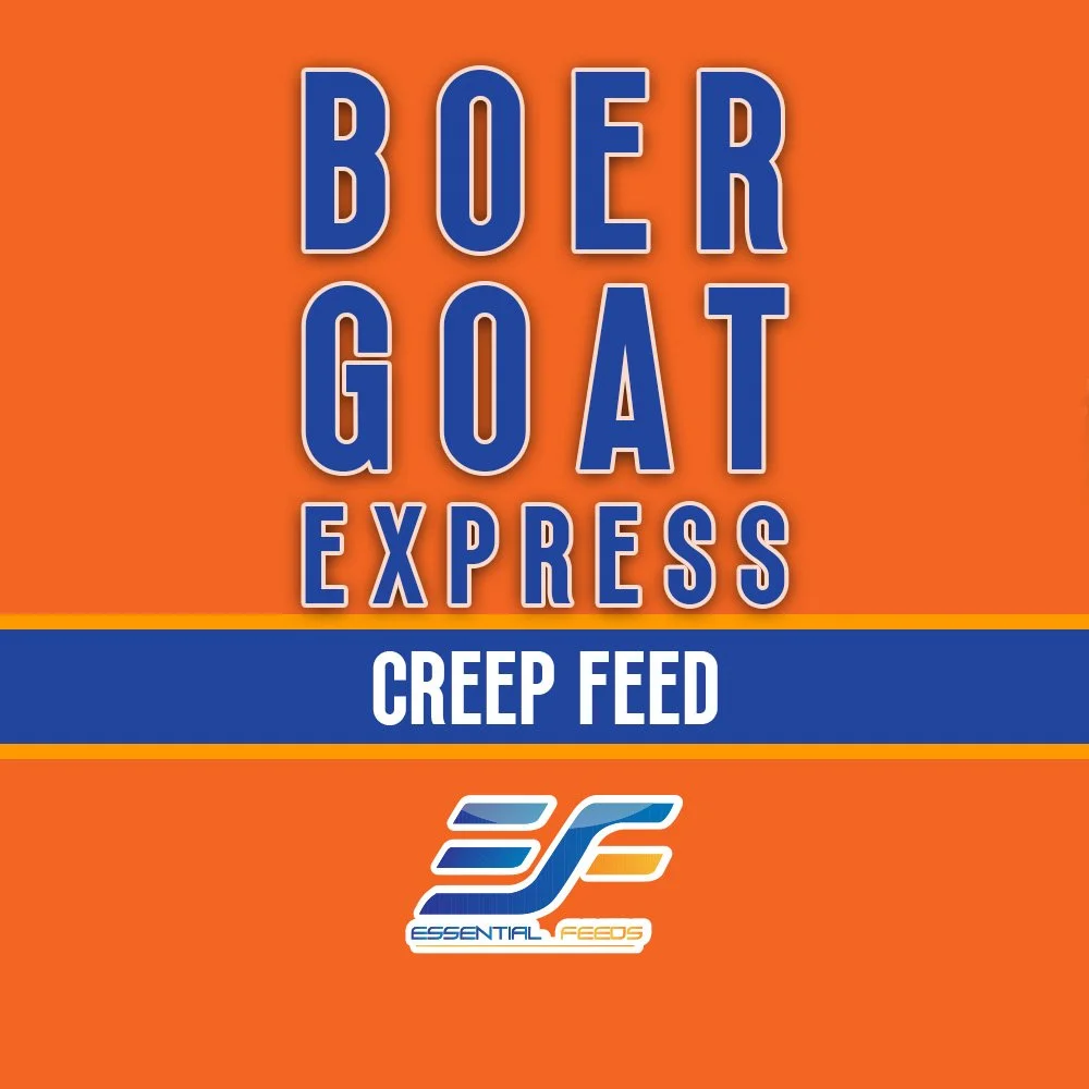 Goat — Essential Feeds