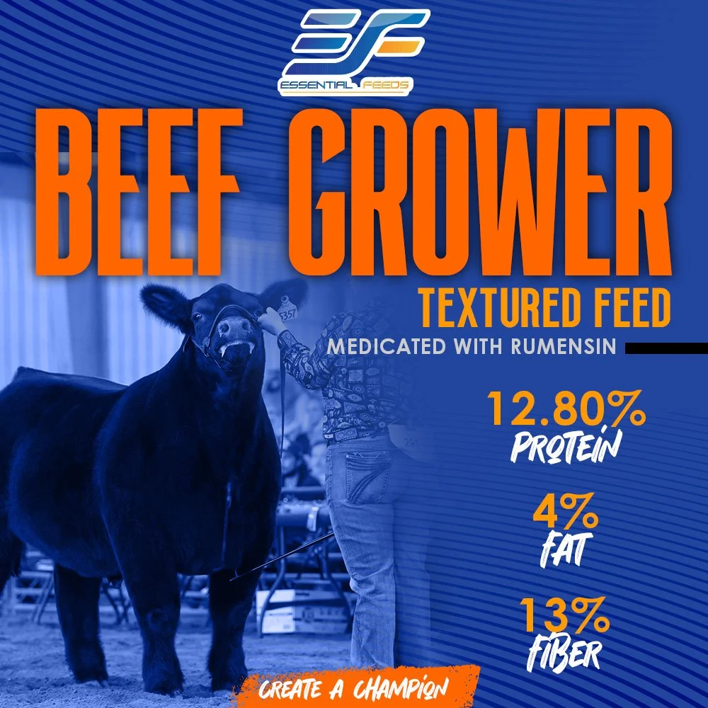 Essential Show Feeds: Beef Grower — Essential Feeds
