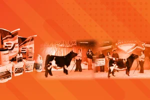 Cattle — Essential Feeds