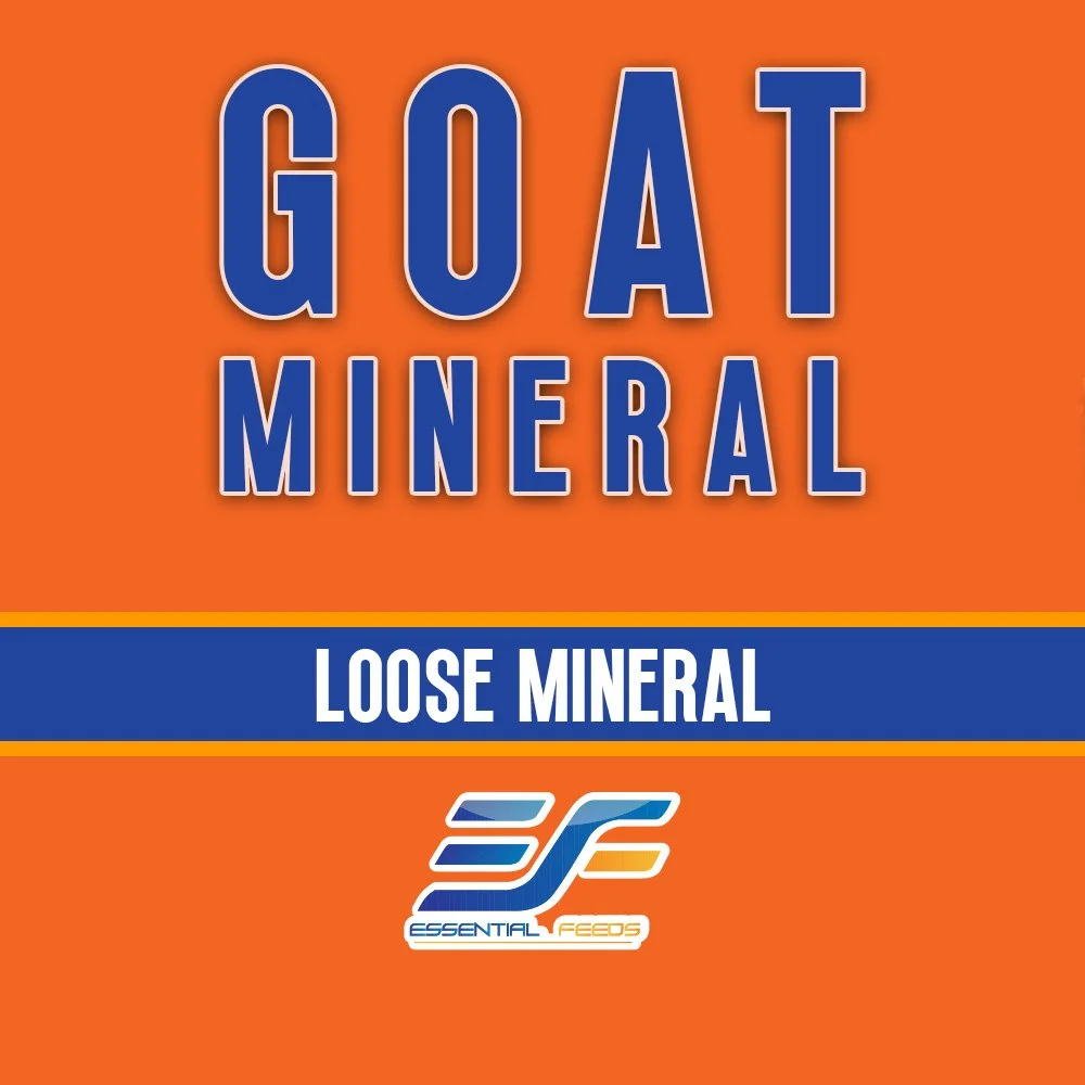Goat — Essential Feeds