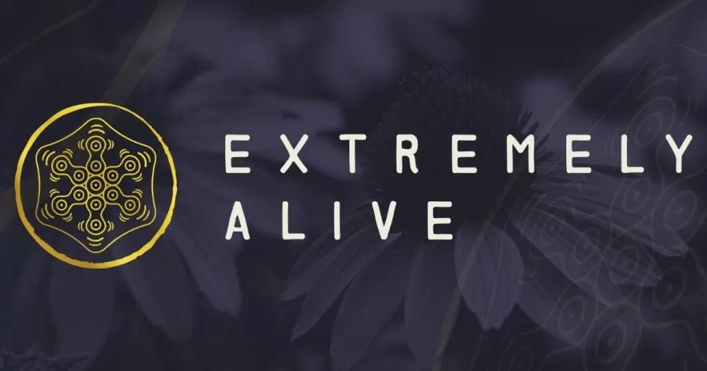 Probiotic Shot Ingredient Pine Needle — Extremely Alive Probiotics