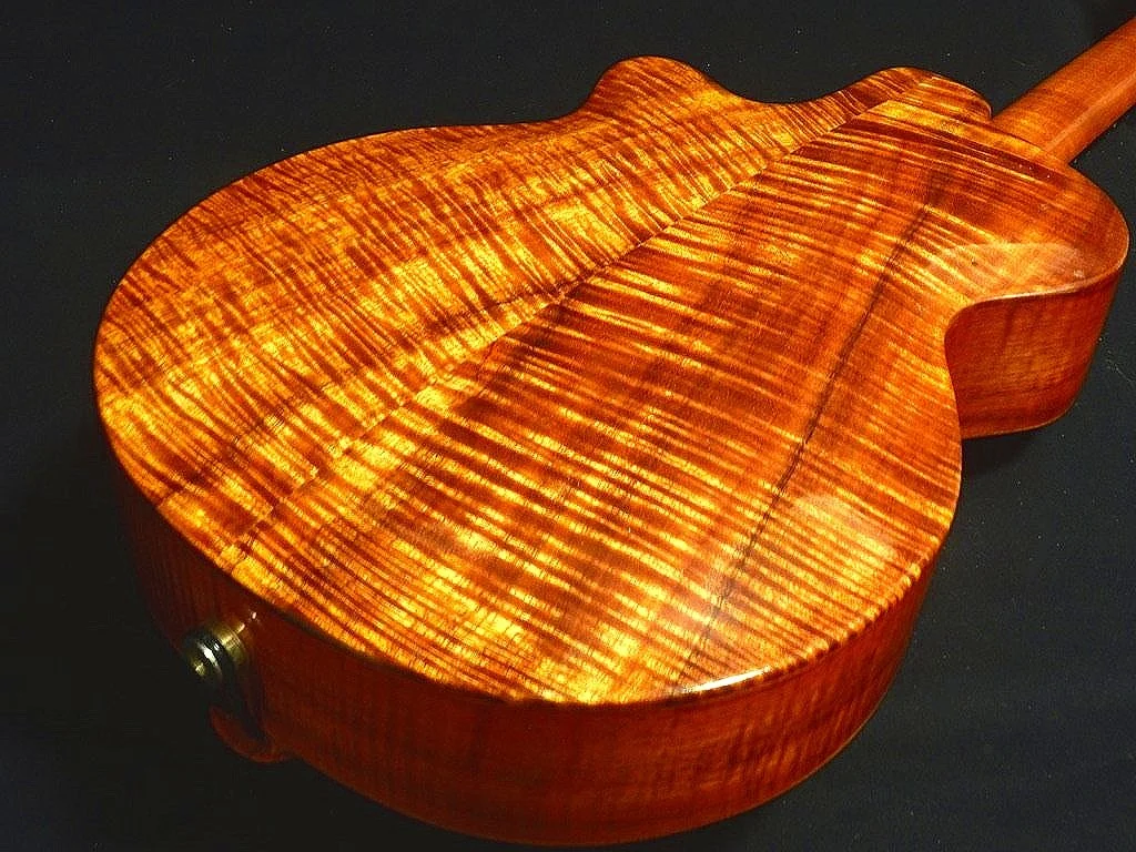 Videos — Infinity Archtops