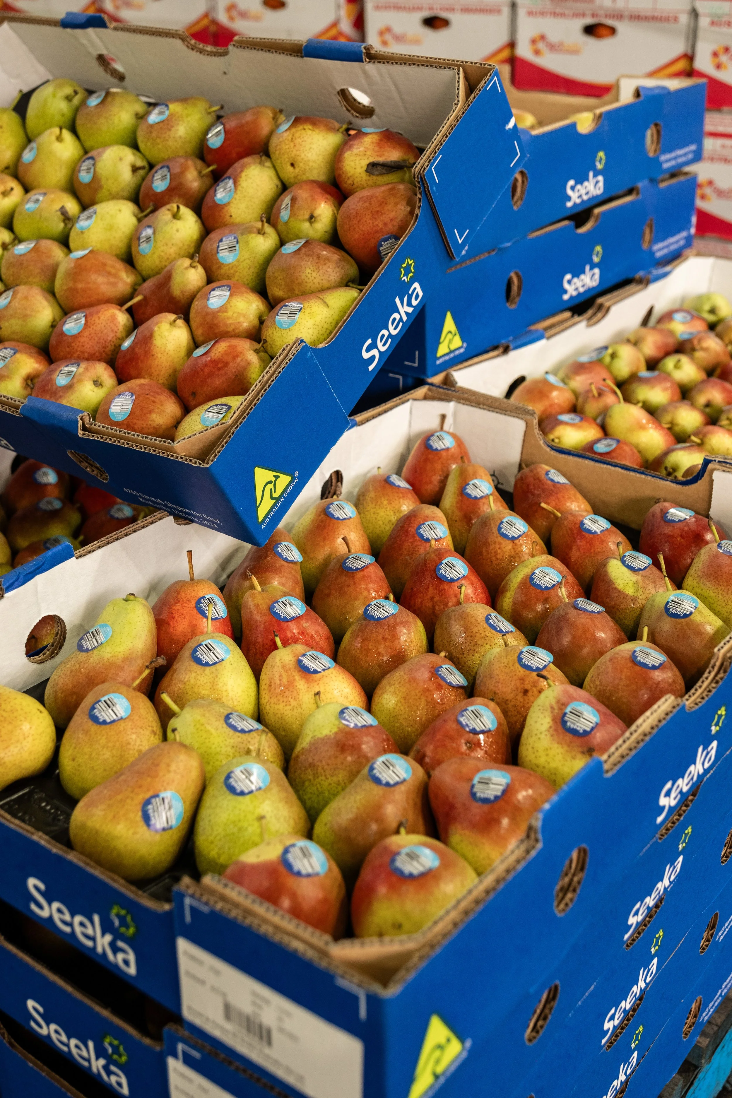 Benefits of Having Fresh Fruit Delivered to Your Office — Ifresh ...