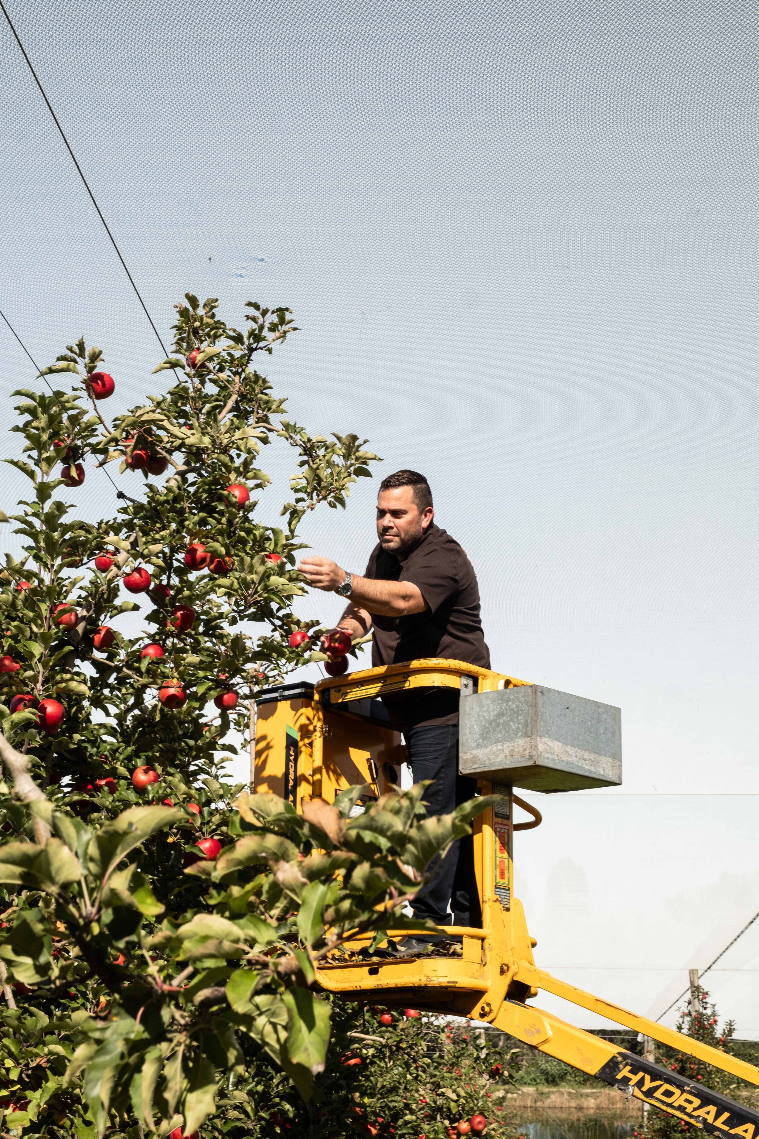 iFresh Your Source for Fresh Fruit Delivery & Workplace Essentials