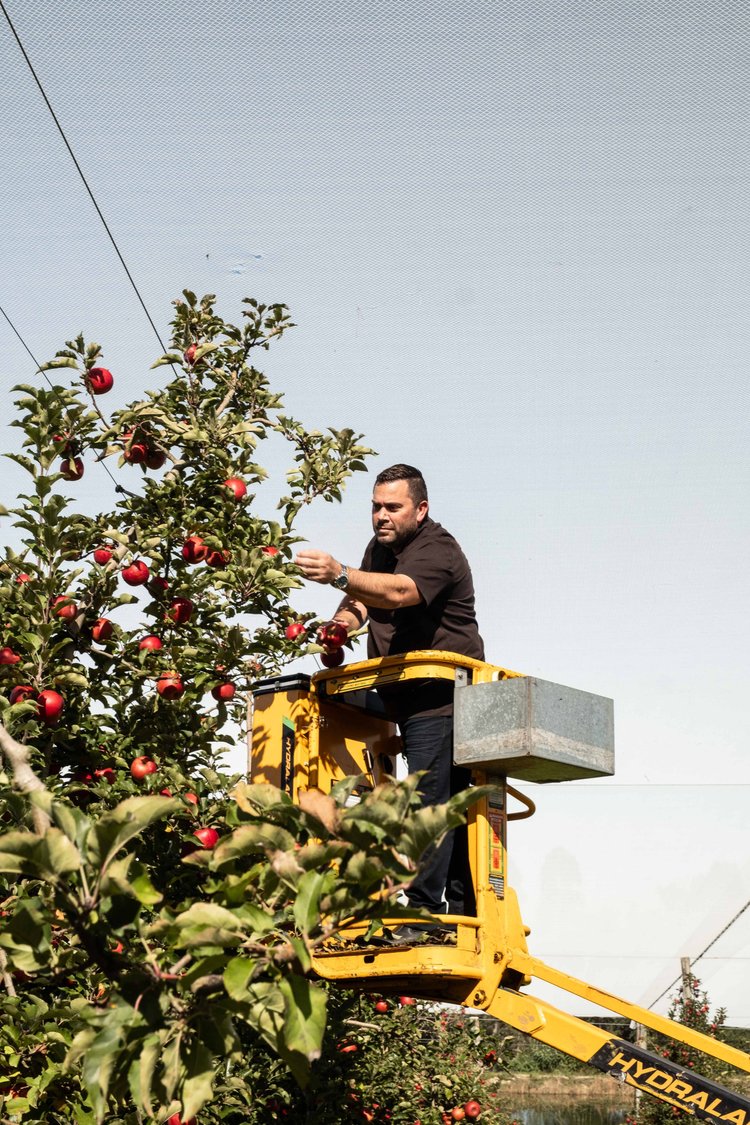 iFresh Your Source for Fresh Fruit Delivery & Workplace Essentials