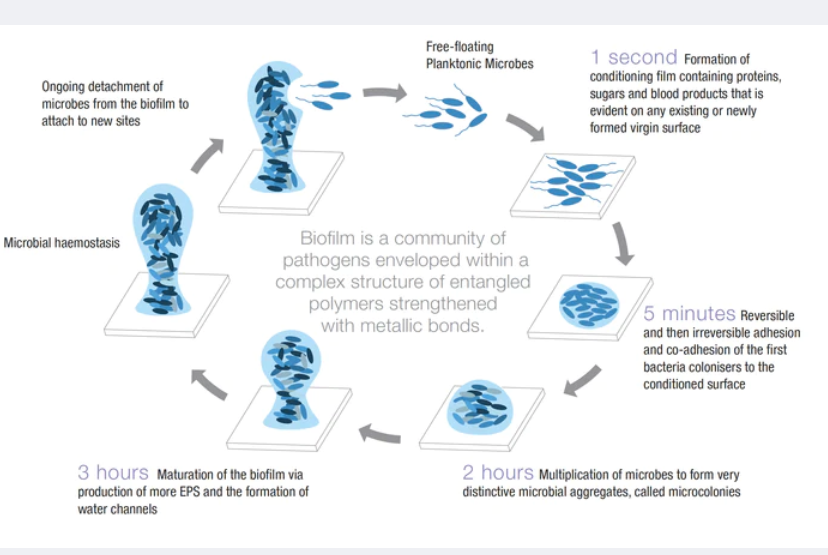 Xperience — TechnoMed