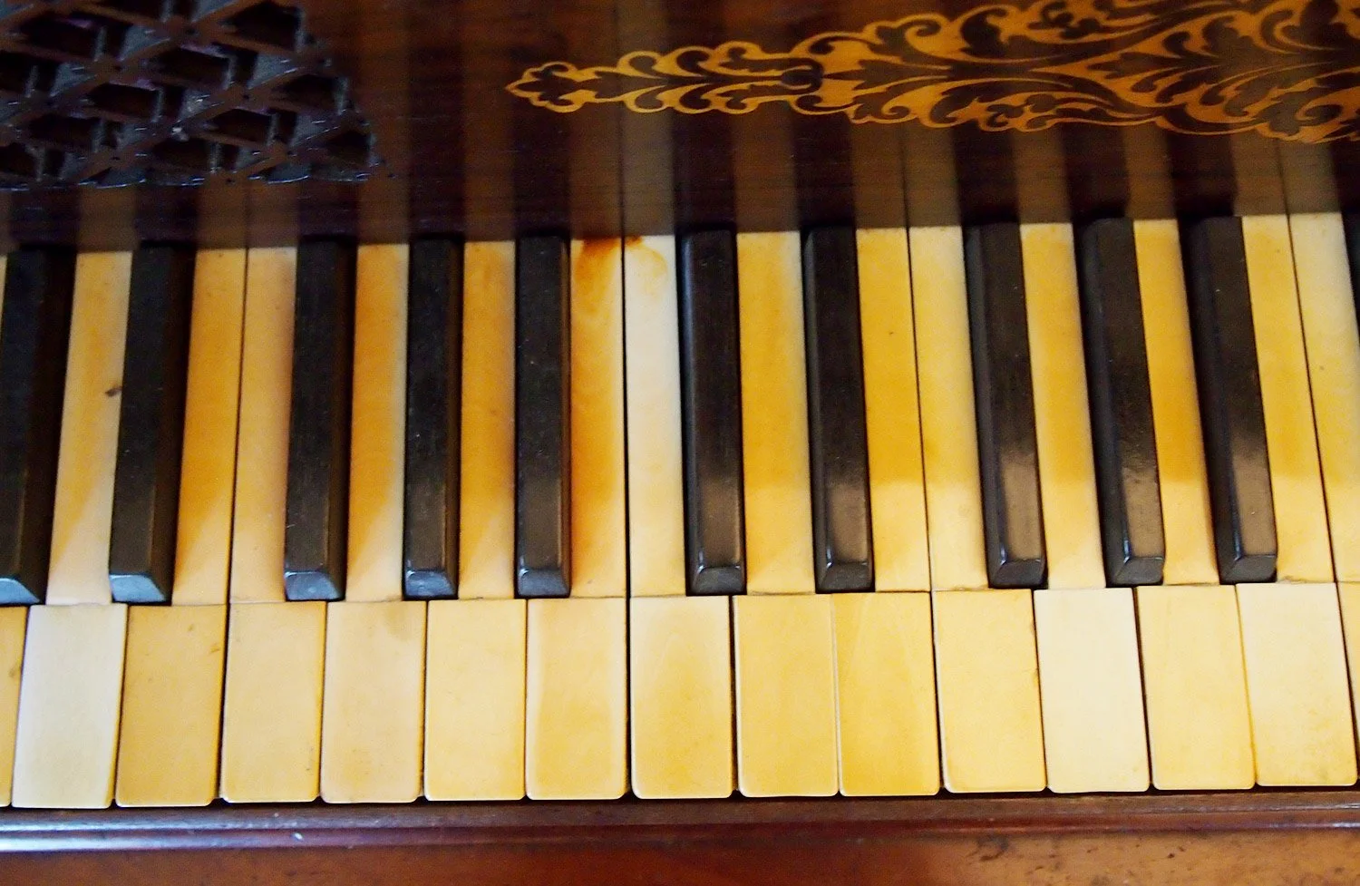 Inside | Carisbrook Historic House | Lane Cove, NSW — Carisbrook ...