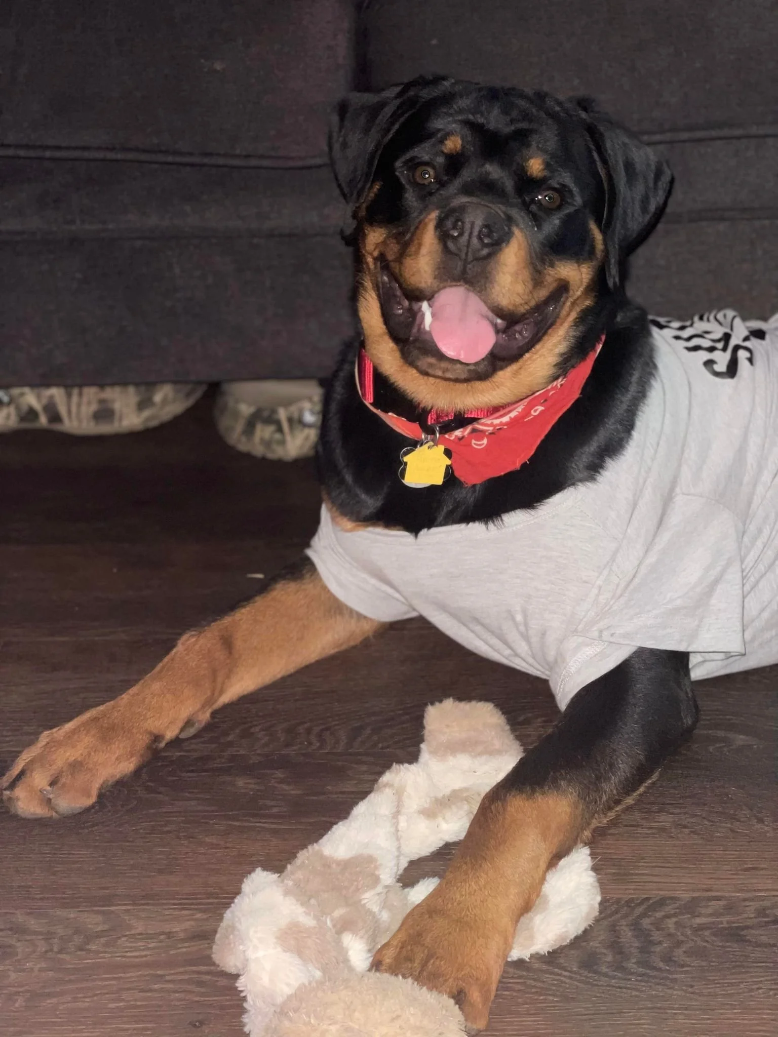 Then & Now — Backwoods Boys Rottweilers