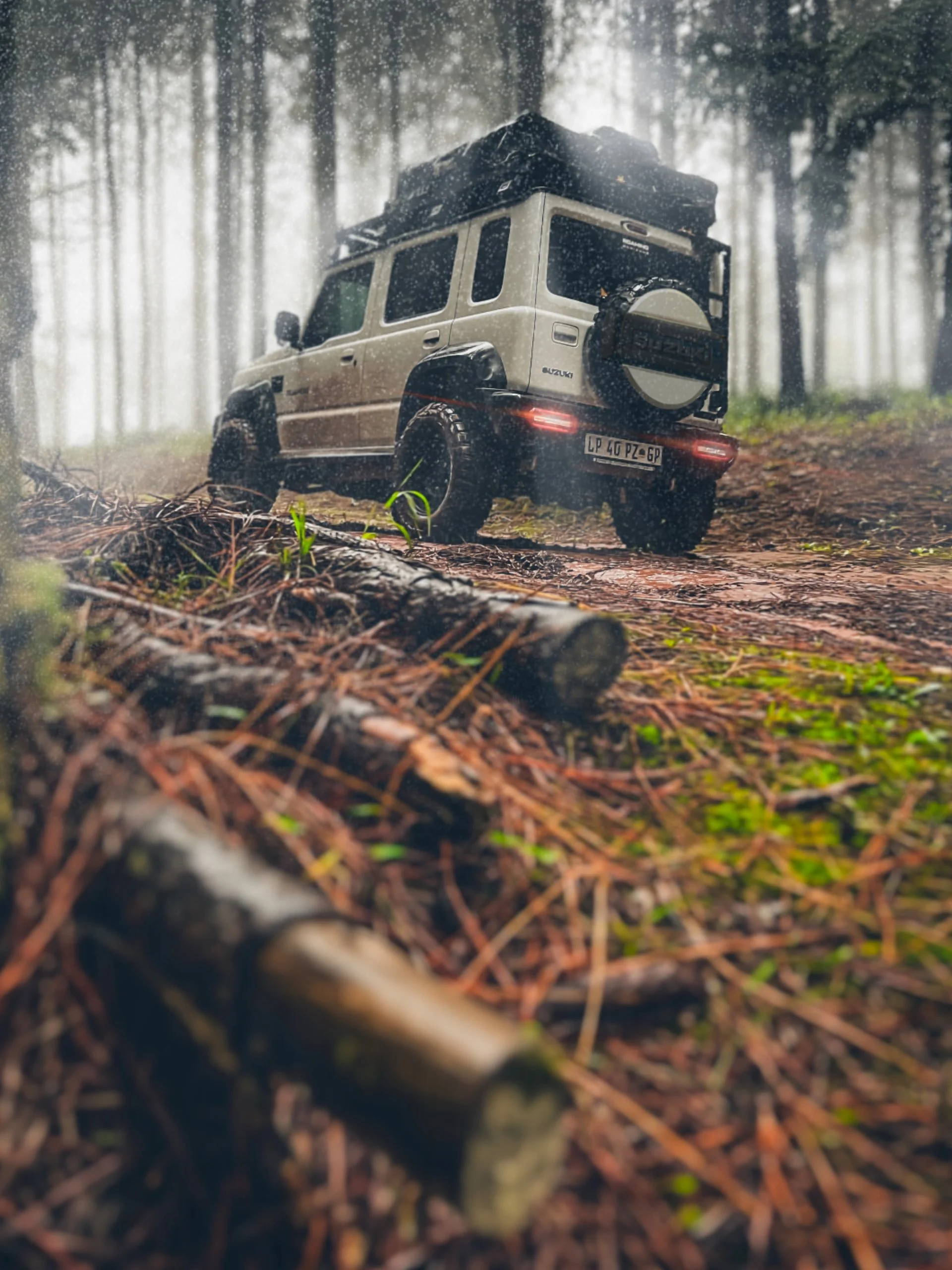 Roaming Horizons