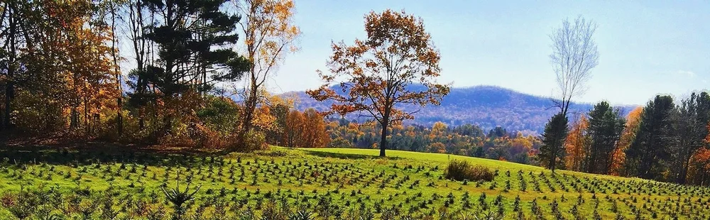 About — Windy Valley Farm