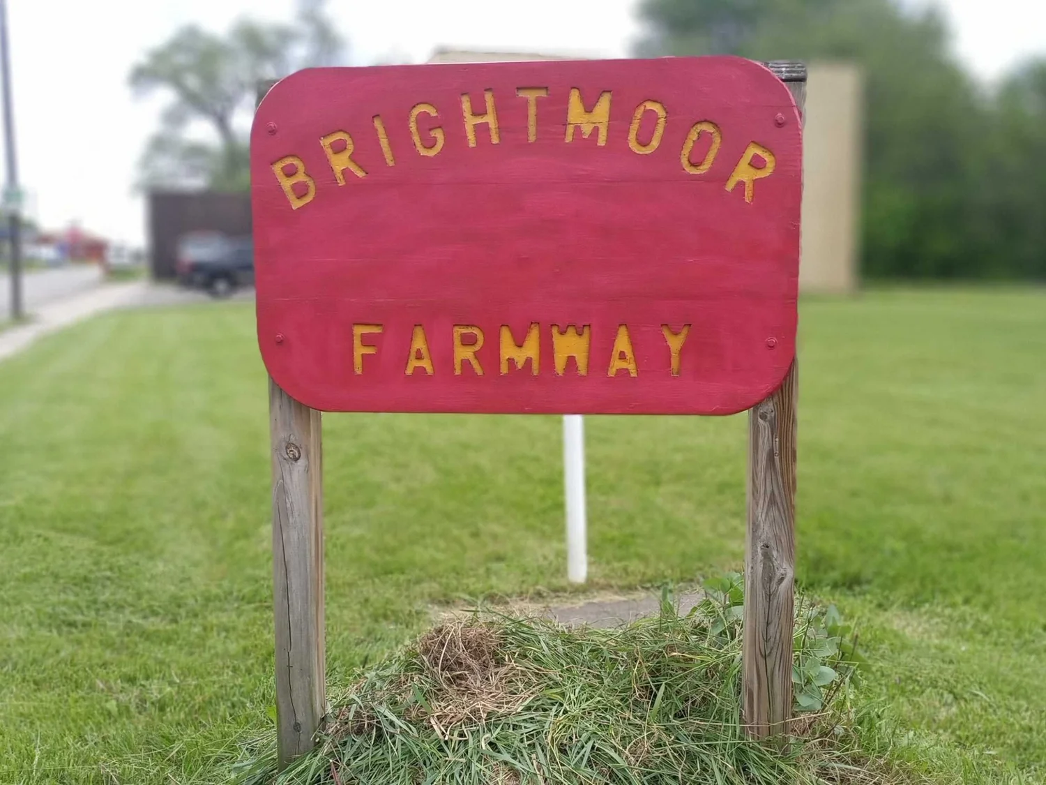 Learning Garden — Brightmoor Artisans Collective