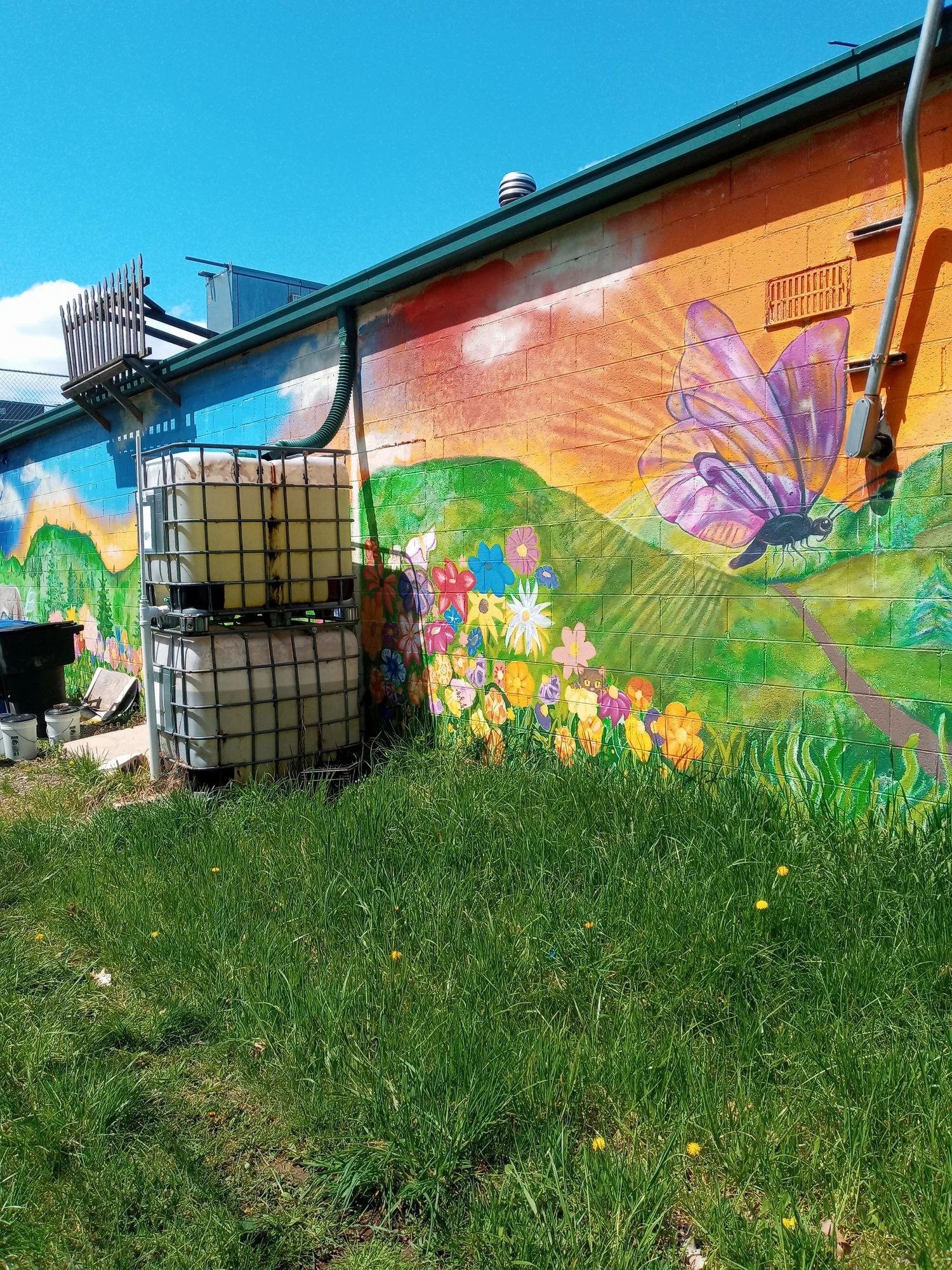 Learning Garden — Brightmoor Artisans Collective