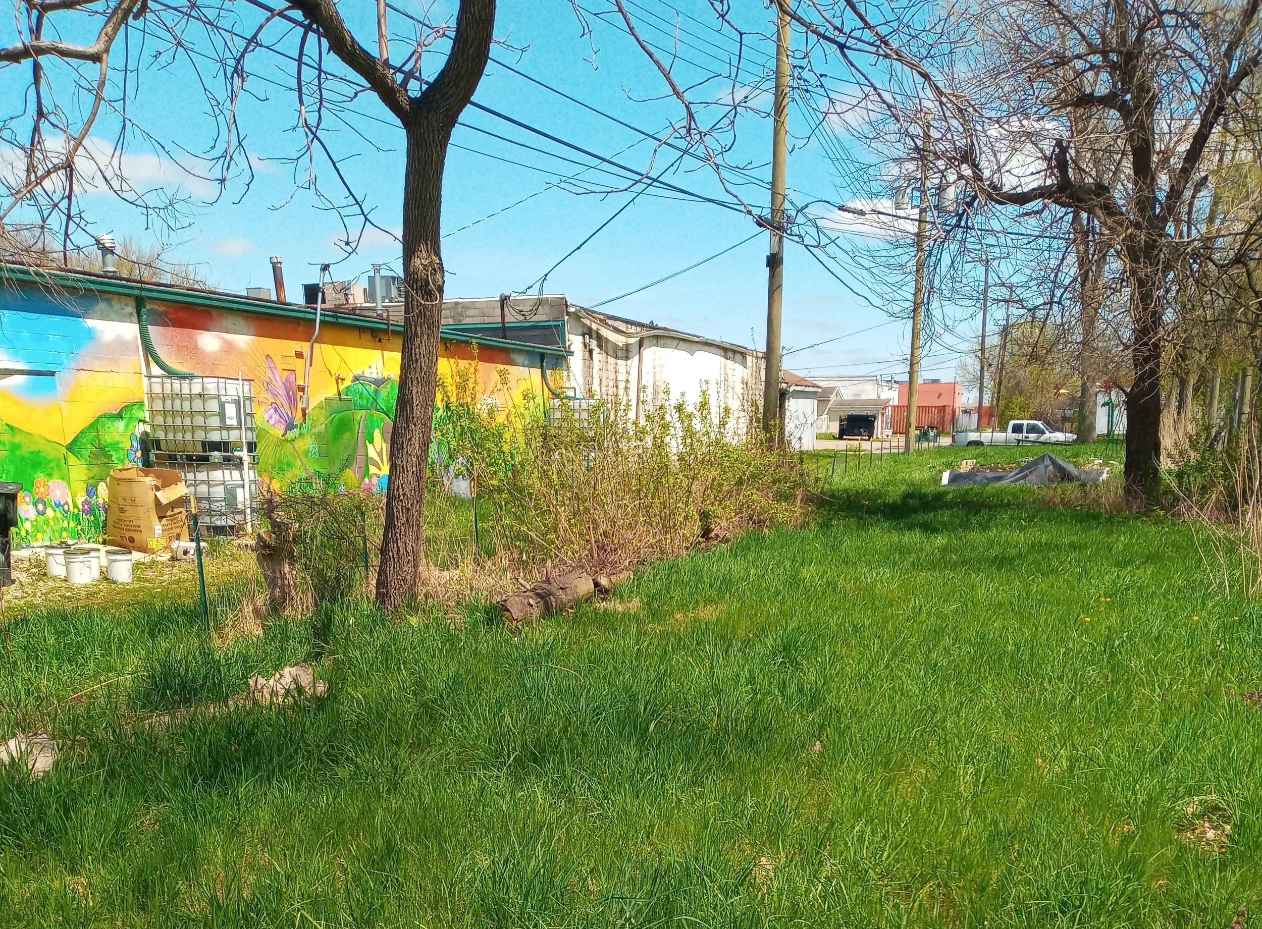 Learning Garden — Brightmoor Artisans Collective