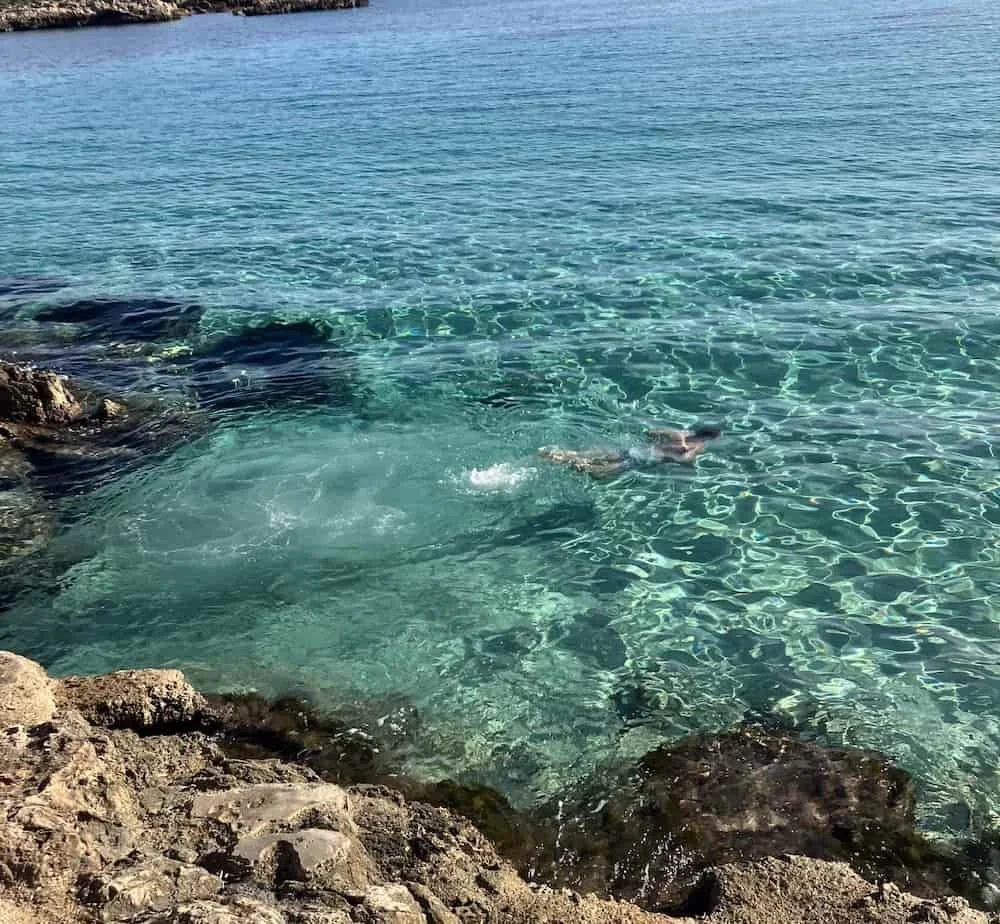 Mallorca In December — The Mallorcan
