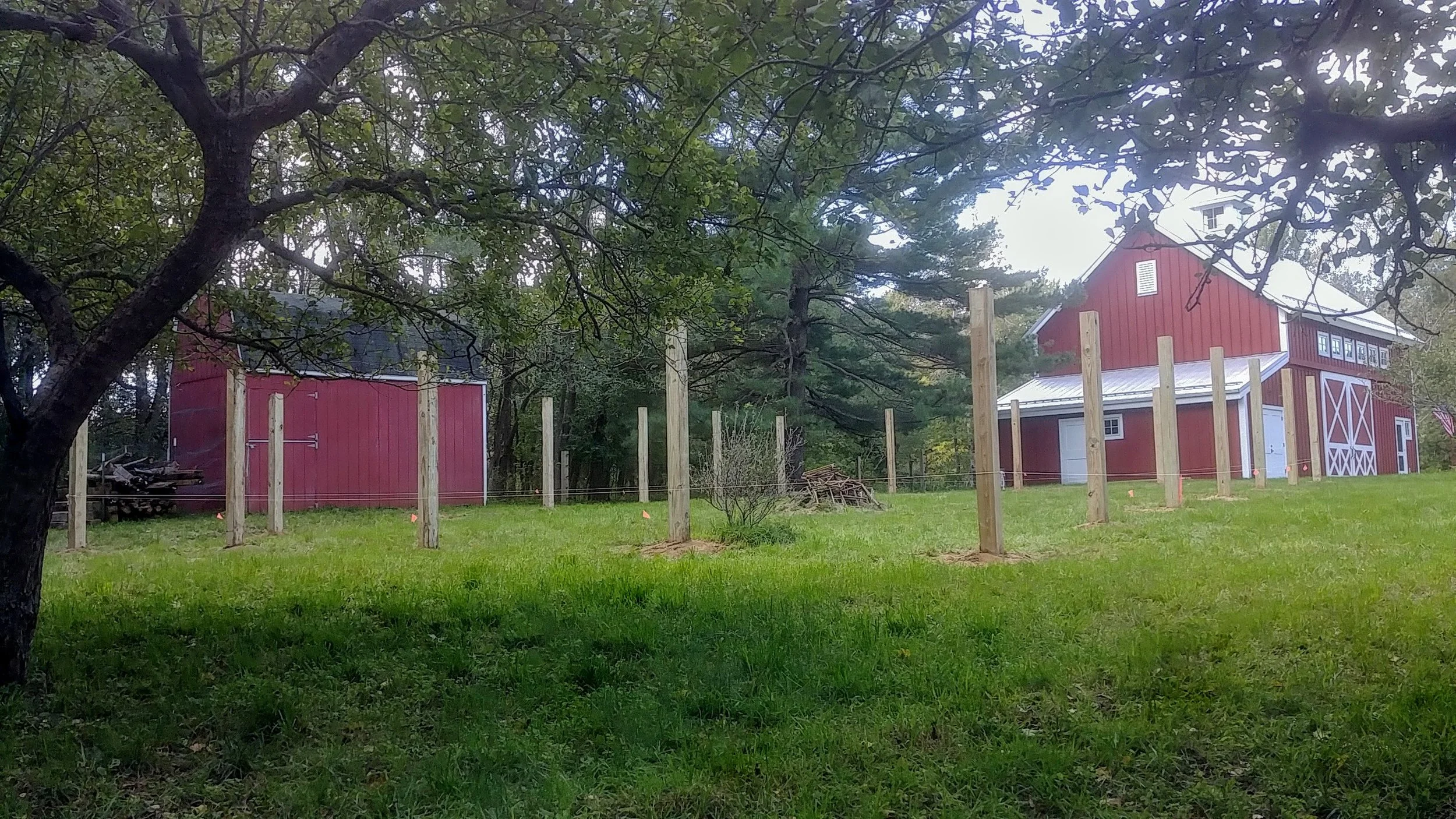 Building a Flight Pen - Part 1 — One-Eared Dog Farm