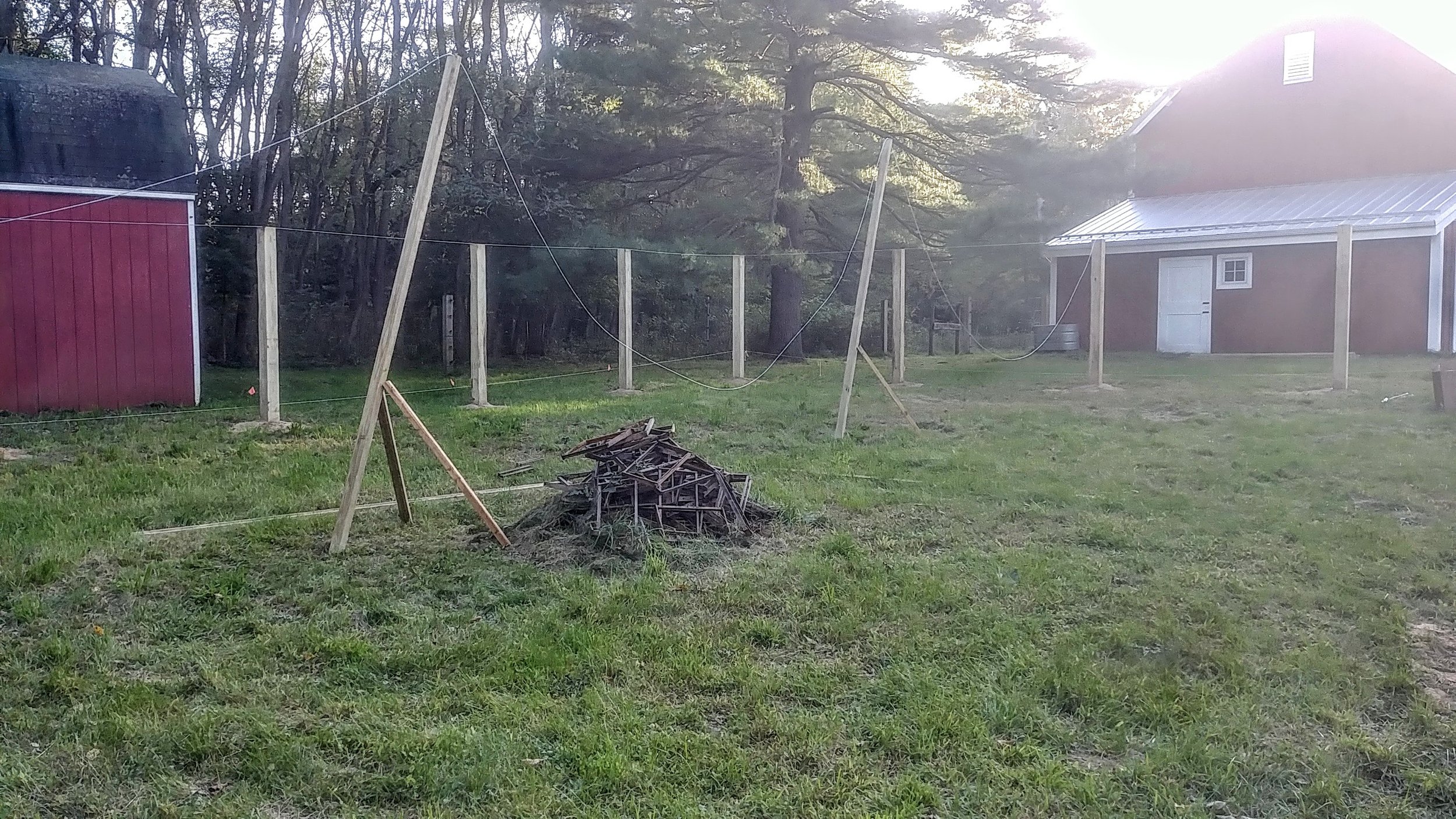 Building a Flight Pen - Part 2 — One-Eared Dog Farm