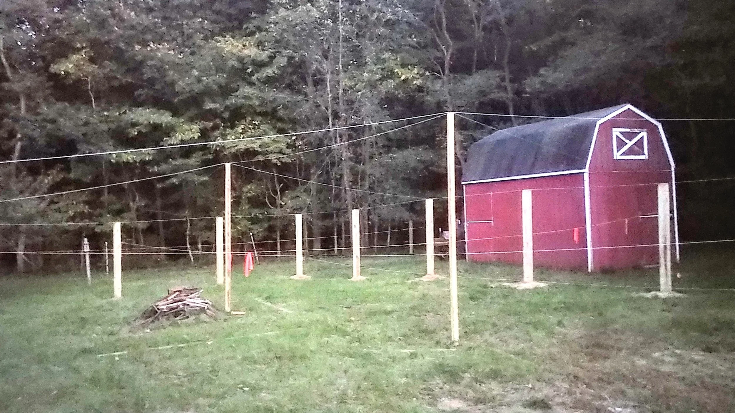 Building a Flight Pen - Part 2 — One-Eared Dog Farm