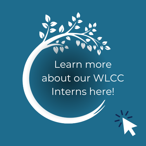 About WLCC — Whole Life Counseling & Consulting | Therapy for ...
