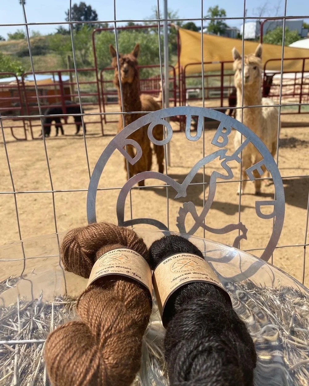 SoCal Double D Farm | Discover Our Farm Today
